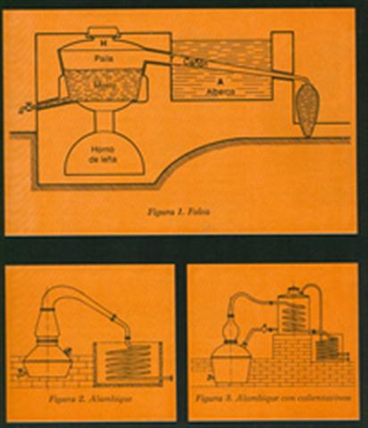 elpiscoesdelperu.com :: Revista Electronica