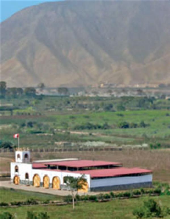 elpiscoesdelperu.com :: Revista Electronica